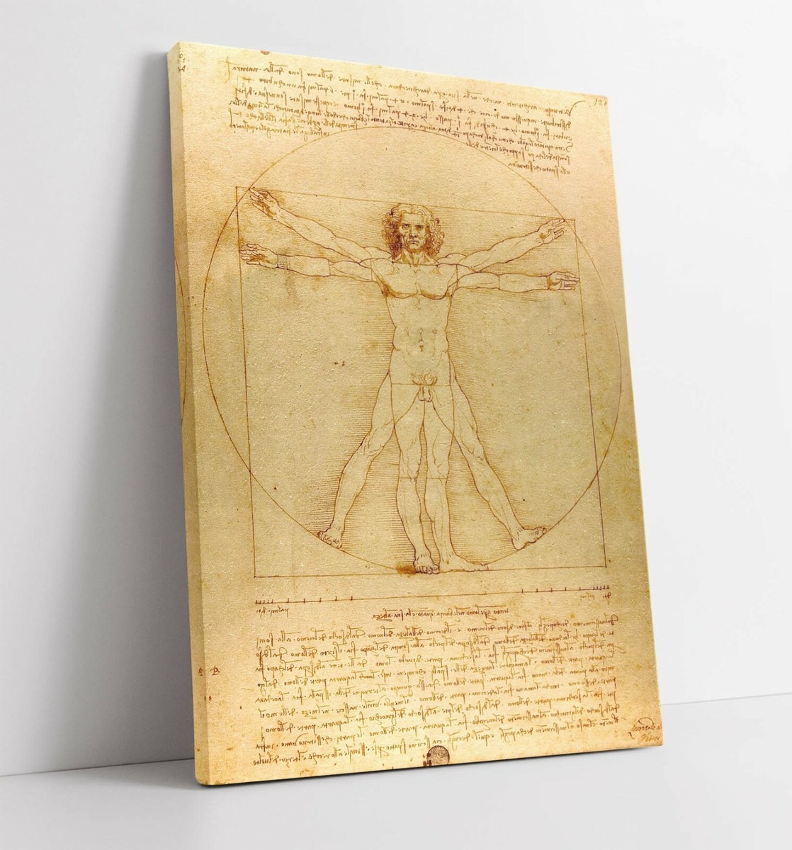 The Vitruvian Man By Leonardo Da Vinci New Vitruvian Man Album