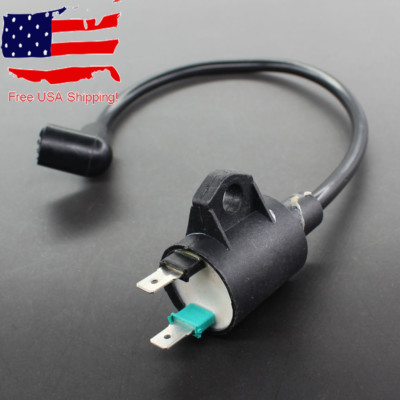 Magneto Ignition Coil Module For 63 64CC 2HP 2-Stroke Engine Gasoline ...