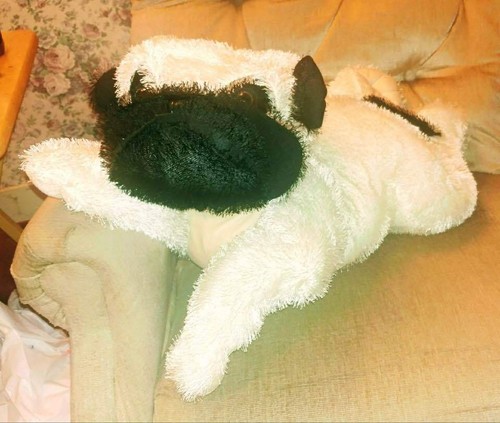 Large Bulldog Pug Peek-a-boo x-plush cream & black~ 24in~chubby face ...
