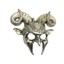 GOAT RAM ARIES SHEEP KRAMPUS STEAMPUNK COSTUME MASK HORNS DEMON DEVIL ...