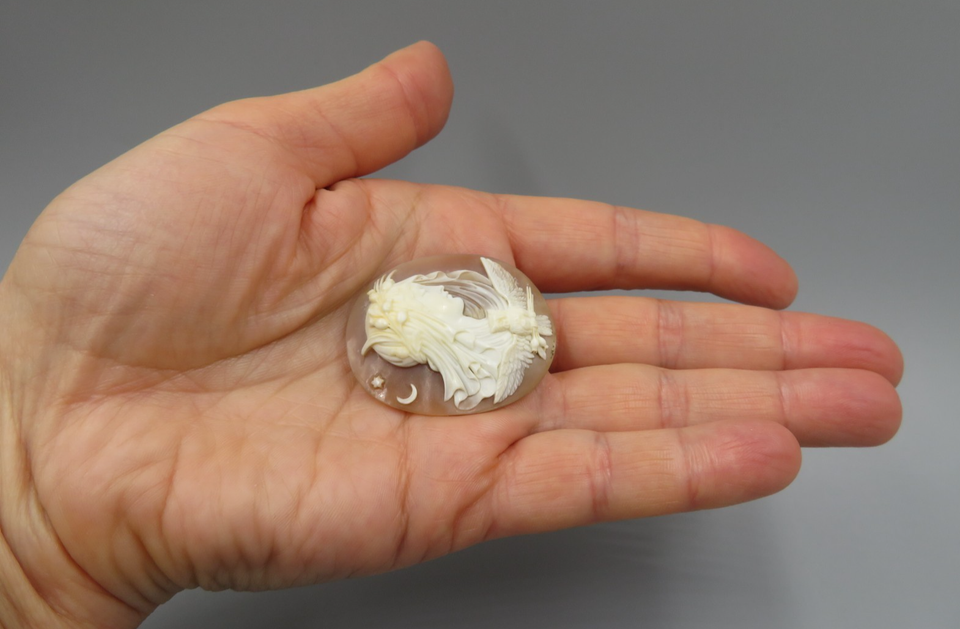Antique Shell Cameo of Goddess of Night, Nyx unmounted | eBay