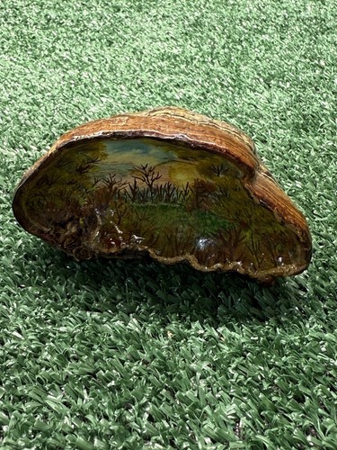 Hand Painted Tree Conk Shelf Mushroom Fungus Art Signed "Tippi" Nature ...