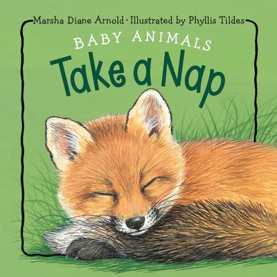 Baby Animals Take a Nap | eBay