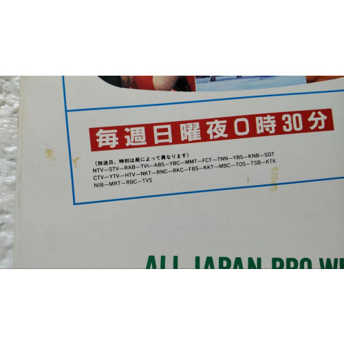 AJPW Real World Tag Team League 1993 Osaka Program Pamphlet wrestling ...