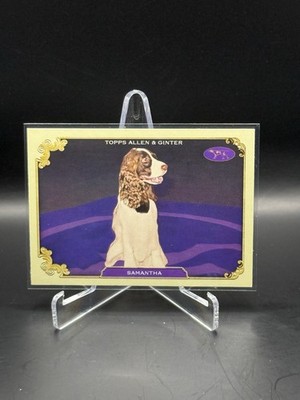 2024 Topps Allen & Ginter - Best in Show Samantha #SOS-39 (RC) | eBay