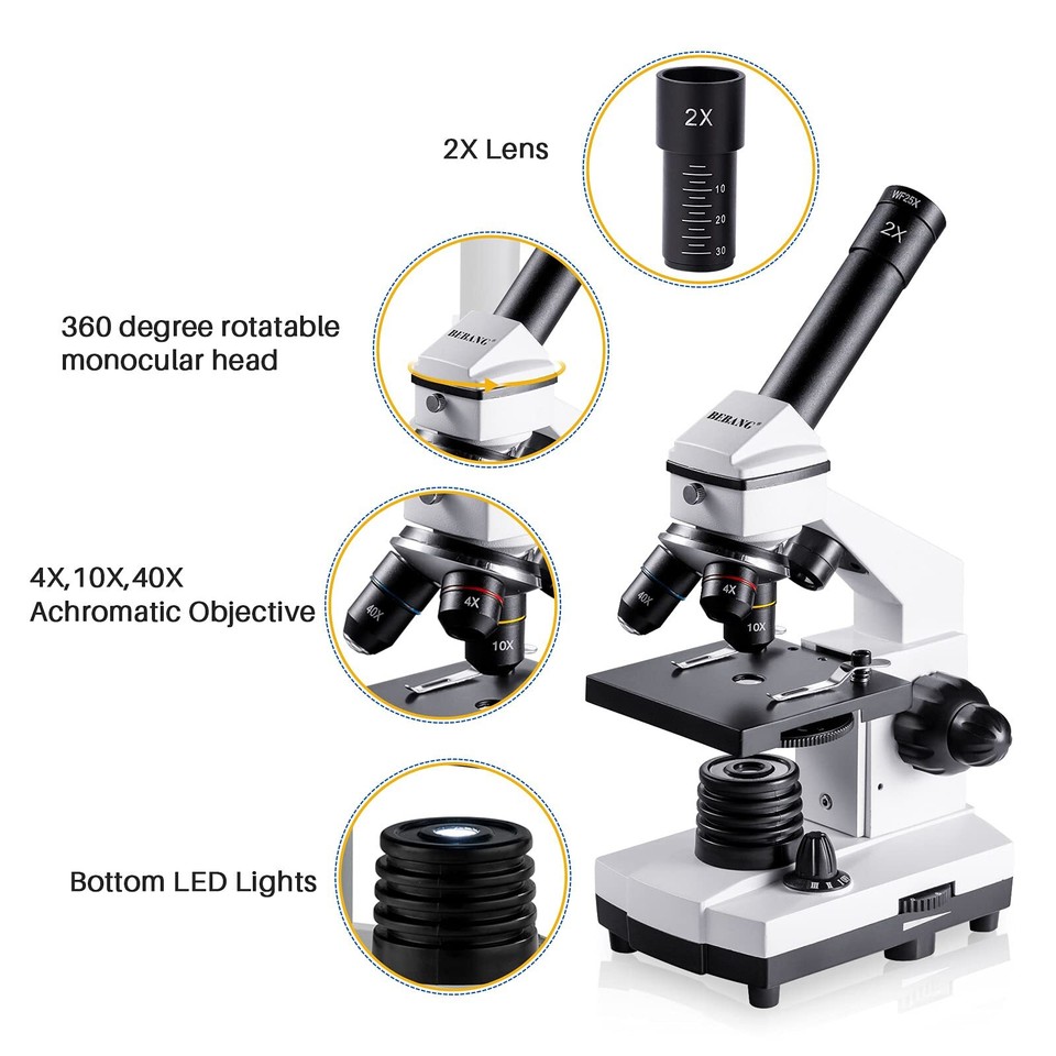 Microscope , 100X-2000X BEBANG Compound Microscope with Microscope ...
