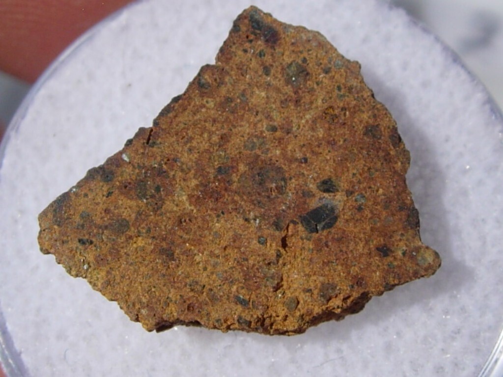 1.12 grams Northwest Africa 2832 ( LL4 ) Meteorite slice +COA (TKW 359 ...
