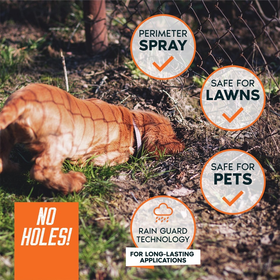 Stop Digging Dogs; Zone Protects No Holes Keeps Dogs Digging in Yards ...