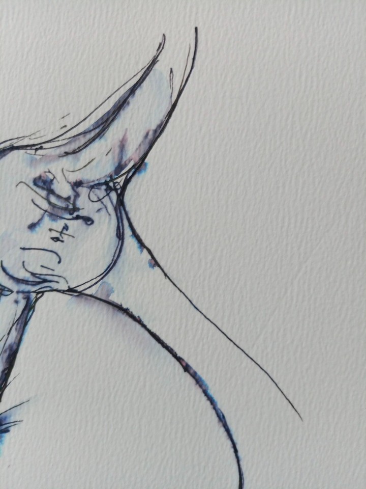 Original Censored Art Pen & Ink Wash A4 Drawing of Male & Female ...