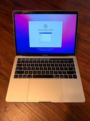Apple MacBook Pro 13.3" (256GB SSD, Intel Core i5 6th Gen., 2.9GHz, 8GB ...