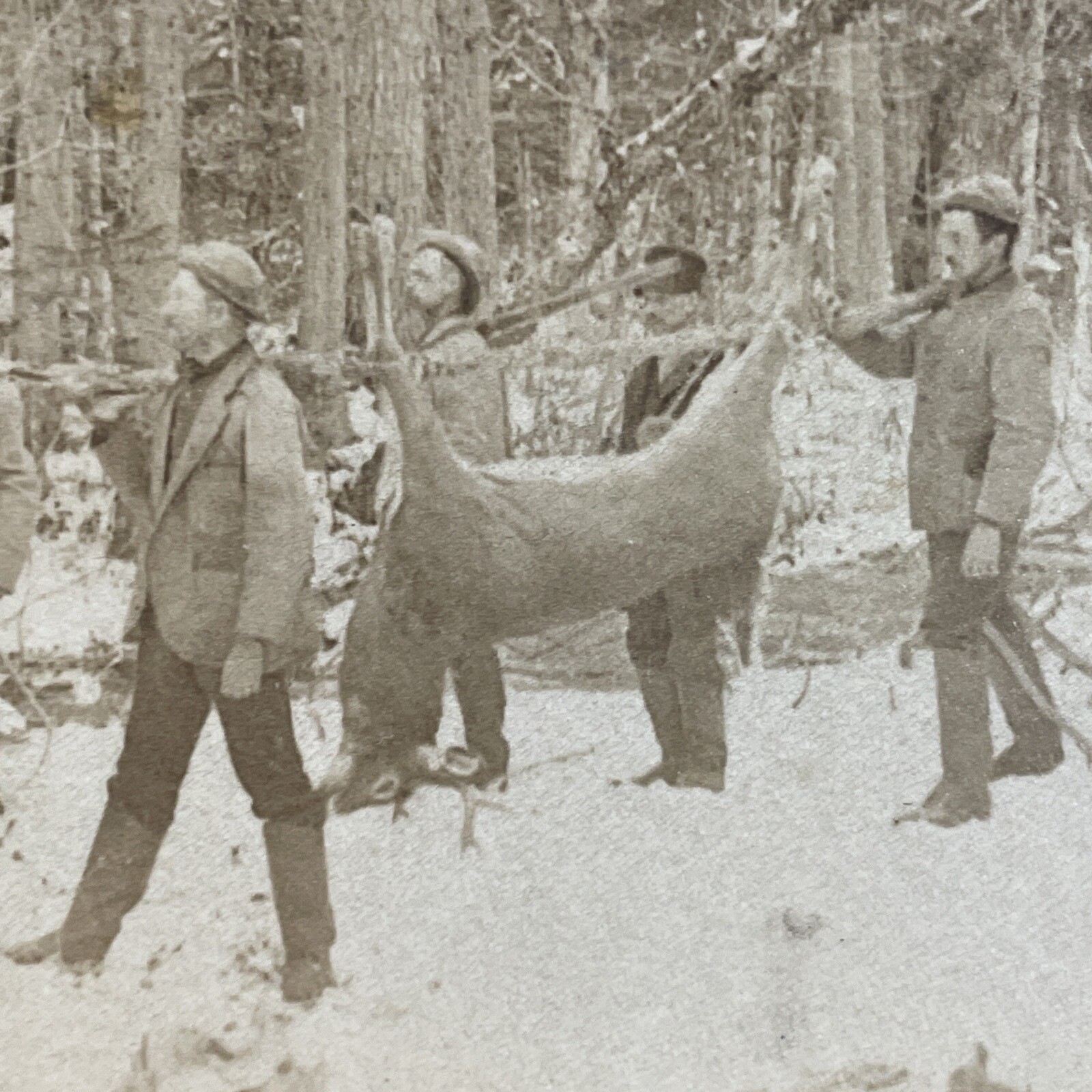 Antique 1888 Men Carry Large Buck Deer Hunting Hunt Stereoview Photo ...
