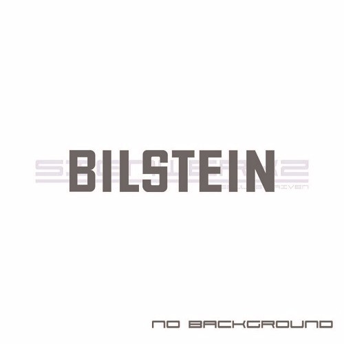 Bilstein Decal sticker logo Euro German shock absorbers mod racing Pair ...