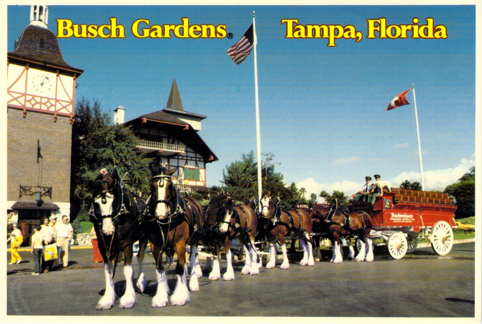 Busch Gardens, Anheuser Busch Clydesdales-Tampa Florida-VTG Postcard M9 ...