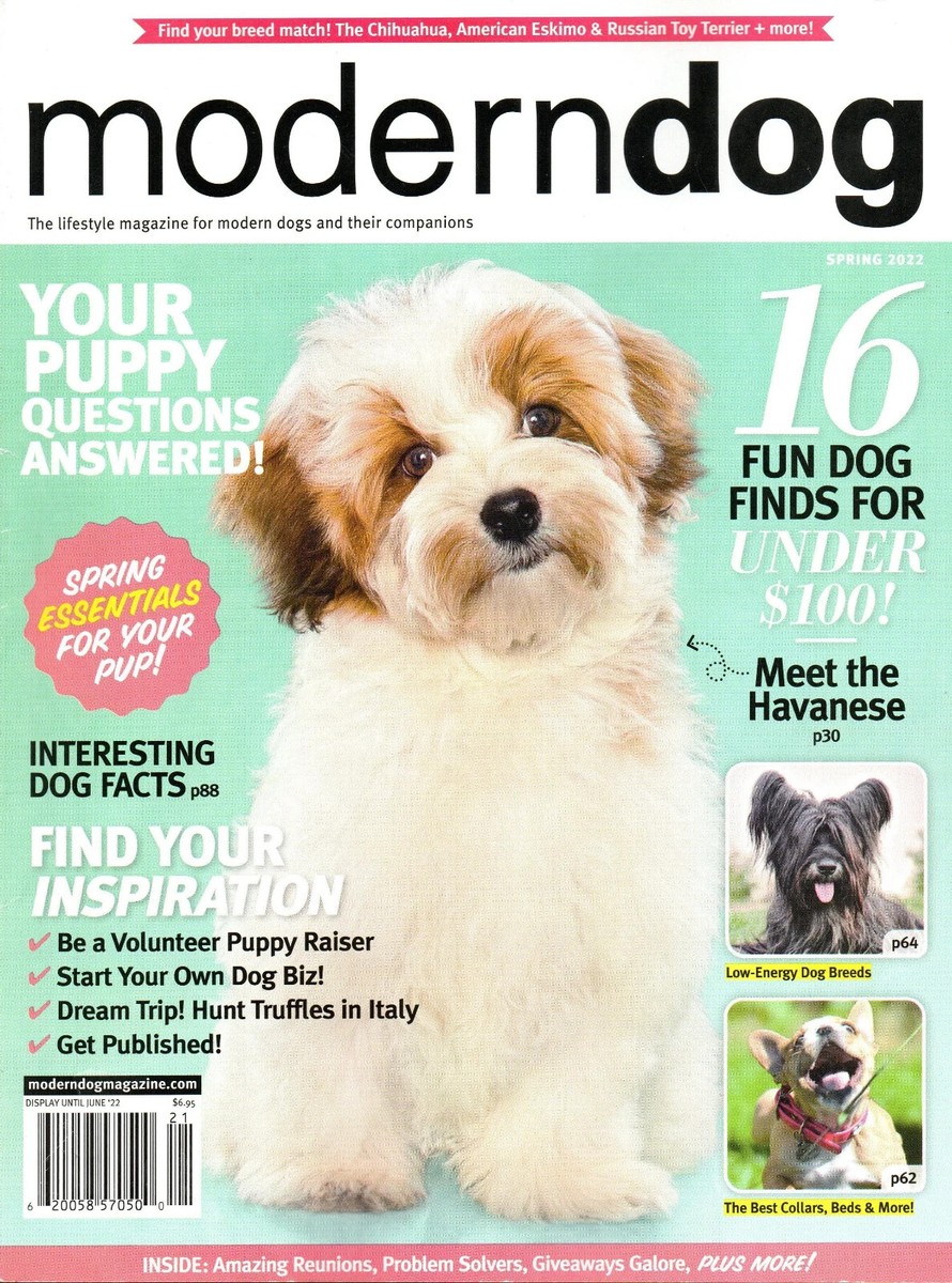 Magazine Modern Dog Venice