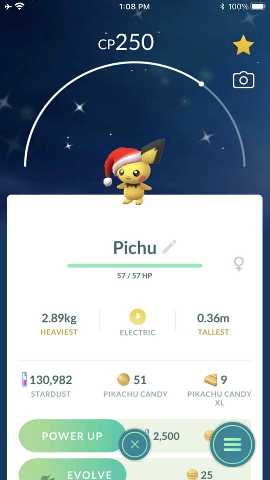 Pokemon Shiny Pichu With Santa Hat - P T C Mi'ni GO - Read item ...