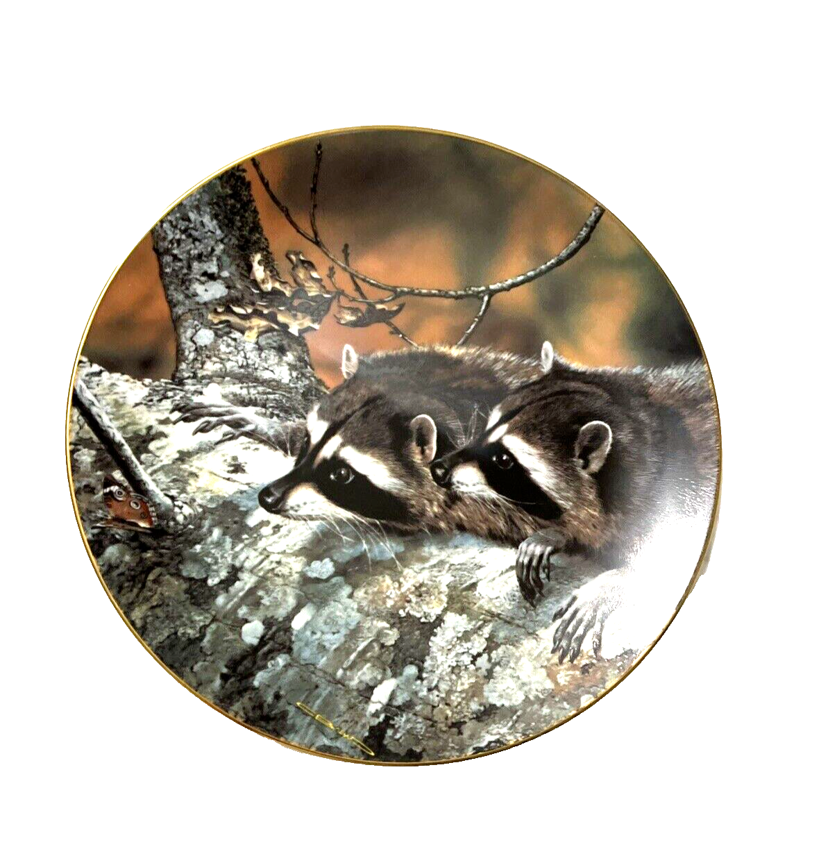 FASCINATION 8.5” Plate Our Woodland Friends Carl Brenders Raccoons Log ...