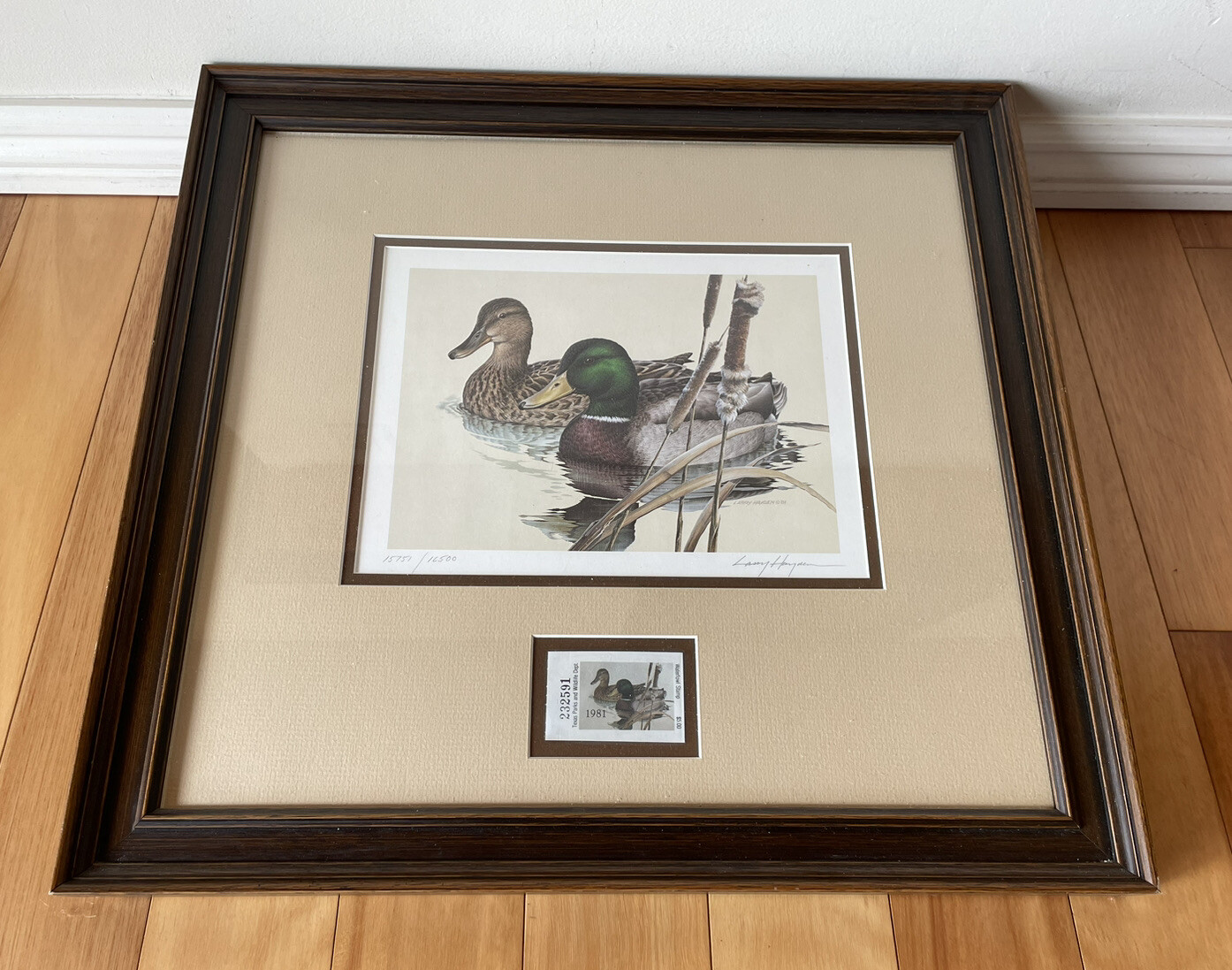 1981 TEXAS - State Duck Stamp Print NUMBERED + Stamp by LARRY HAYDEN ...