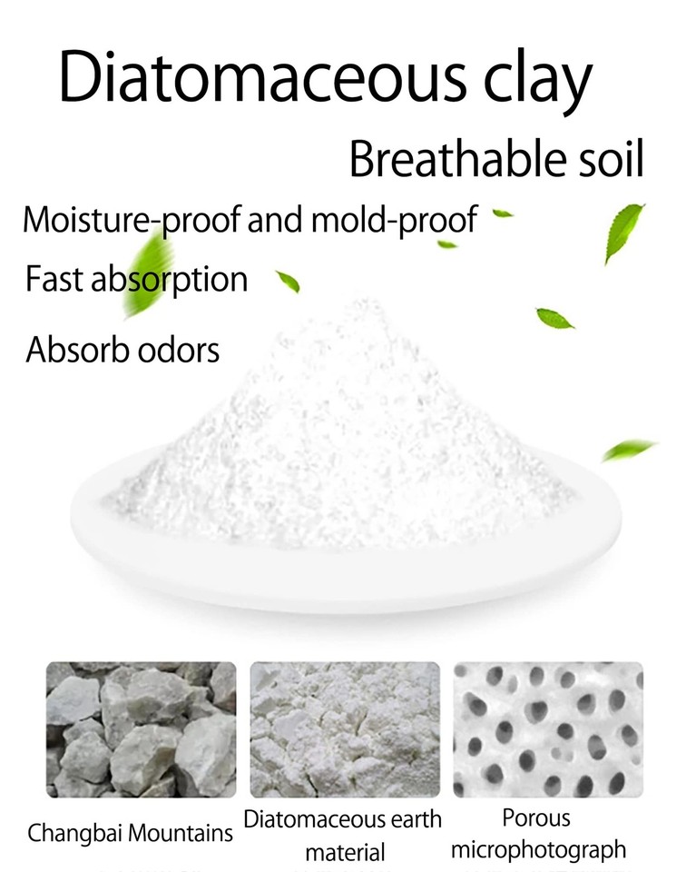 5 Packs Diatom Drying Rod Stick Absorb Absorption Rod Desiccant Water ...