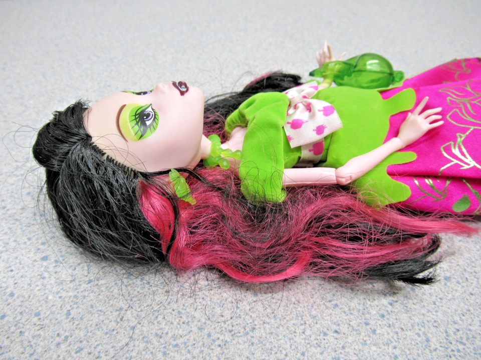 Monster High Scary Tales Snow Bite Draculaura Fashion Doll 2012 Mattel ...