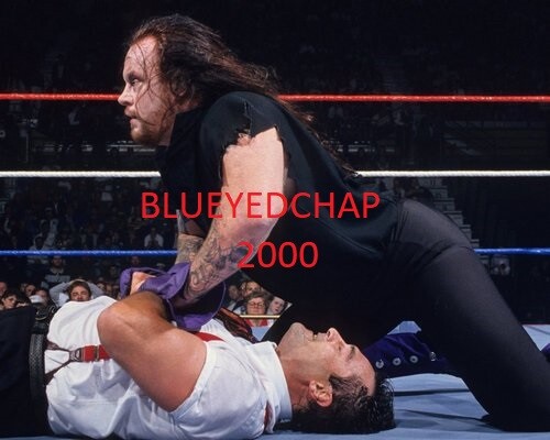 THE UNDERTAKER VS IRS ( MIKE ROTUNDA ) WRESTLER 8 X 10 WRESTLING PHOTO ...