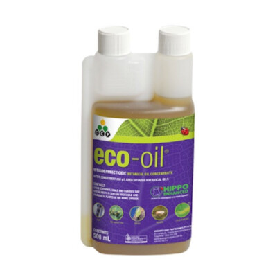 Eco-oil (500ml) Organic Miticide & Insecticide - Control Aphids, Mite ...