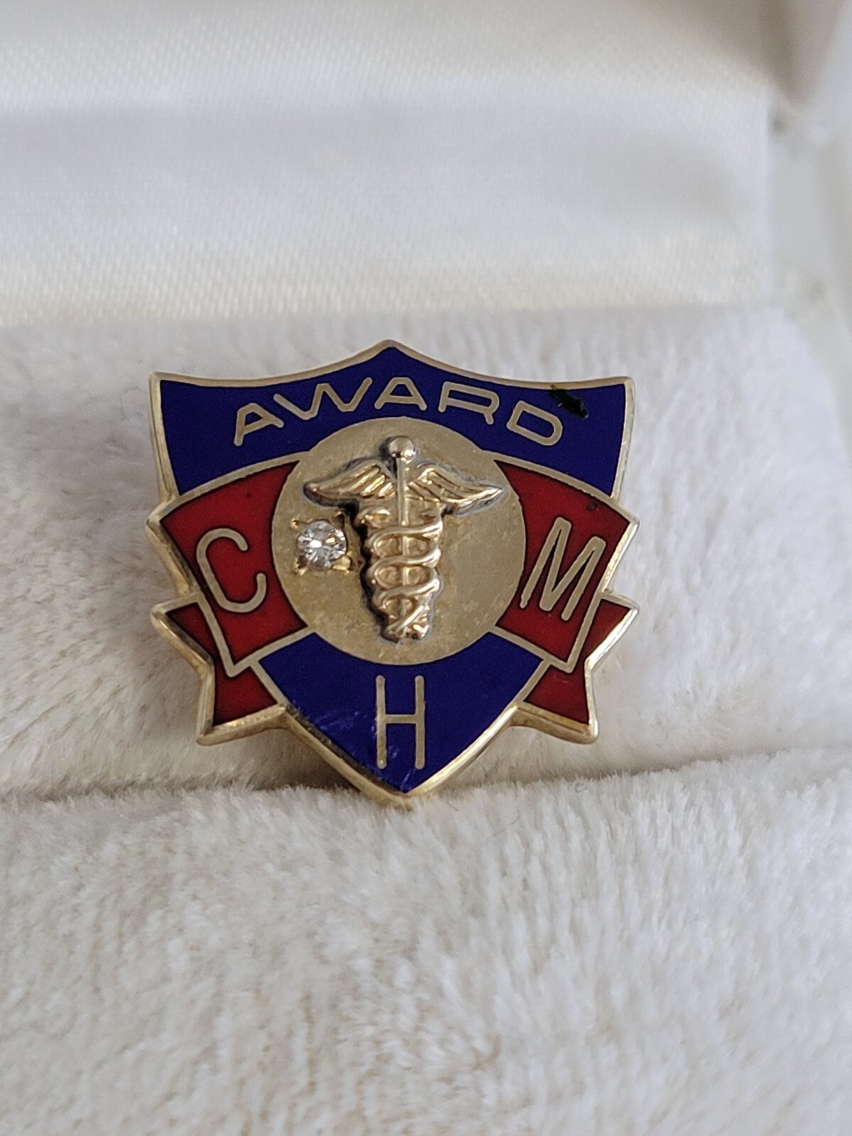 Nurse Award Pins