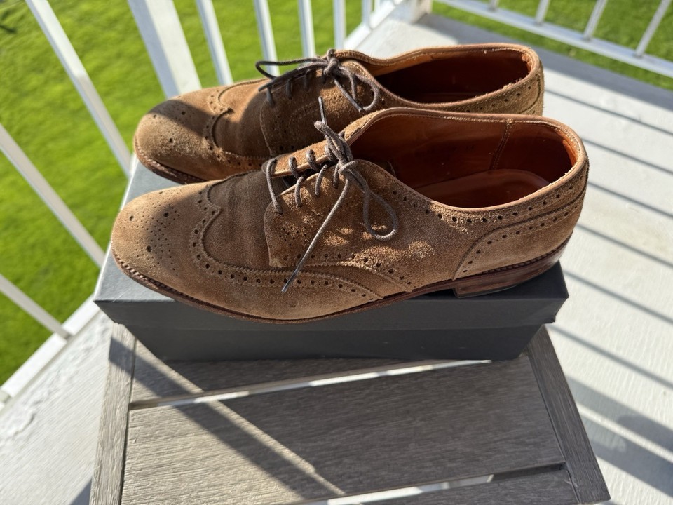 Alden Snuff Suede Wingtips - 10E, Plaza Last | eBay