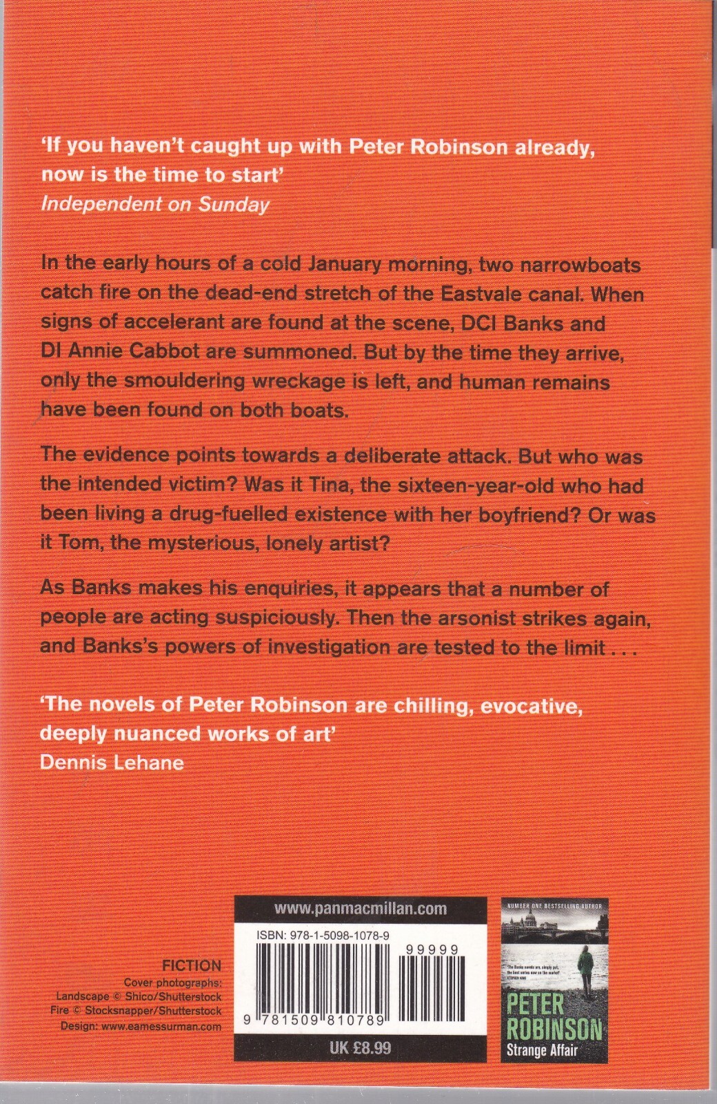 Playing With Fire by Peter Robinson Book New (Paperback) | eBay UK