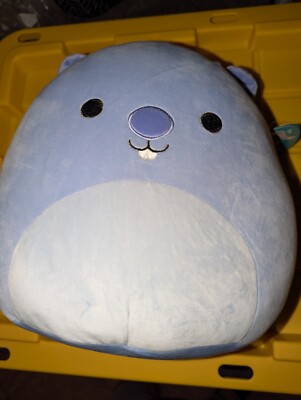 Squishmallows JAVARI Groundhog Purple Stuffed Animal 12" Plush 2023 ...