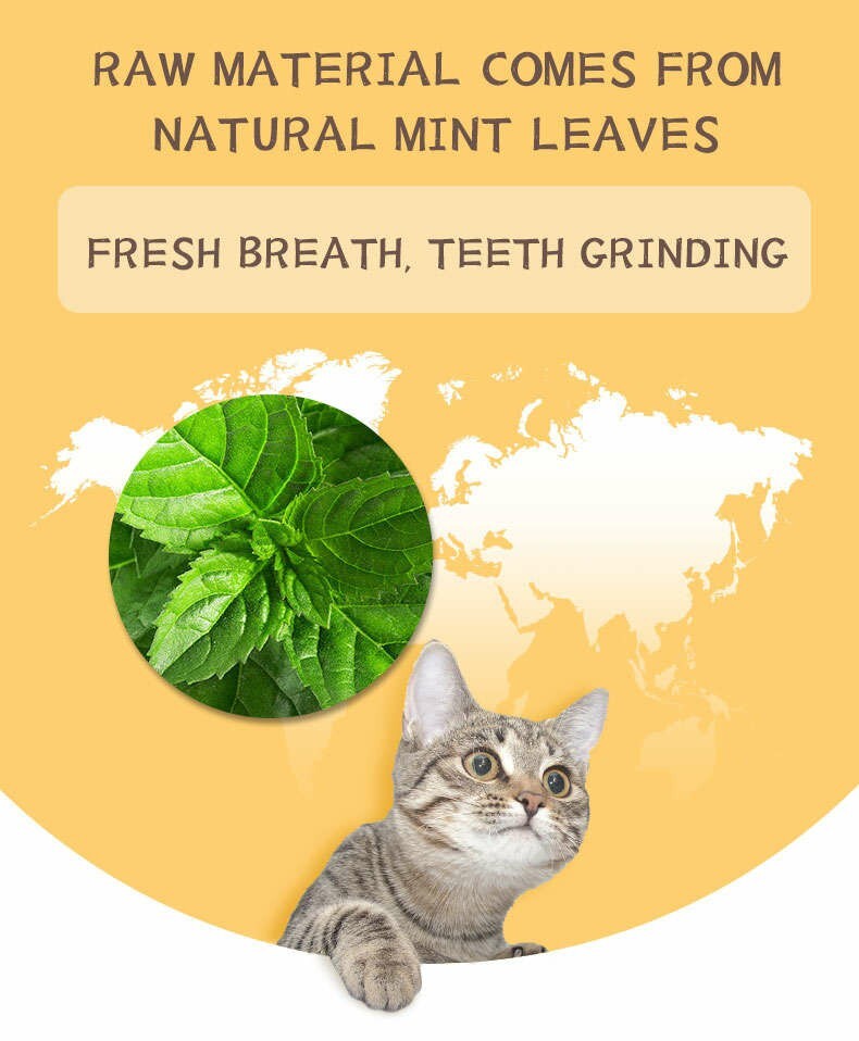 Cat Pet Catnip Lick Spinning Ball Toy Snacks Nutrition Treats x2 toys ...