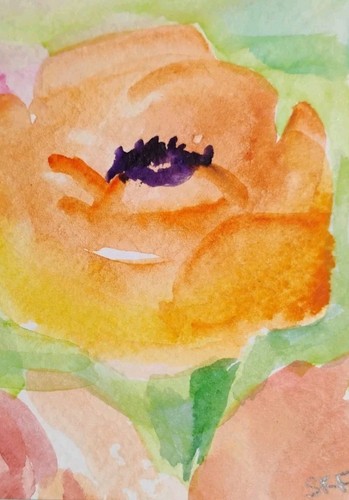 Original ACEO Coral Ranunculus Watercolor Painting art by Sharon Foster ...
