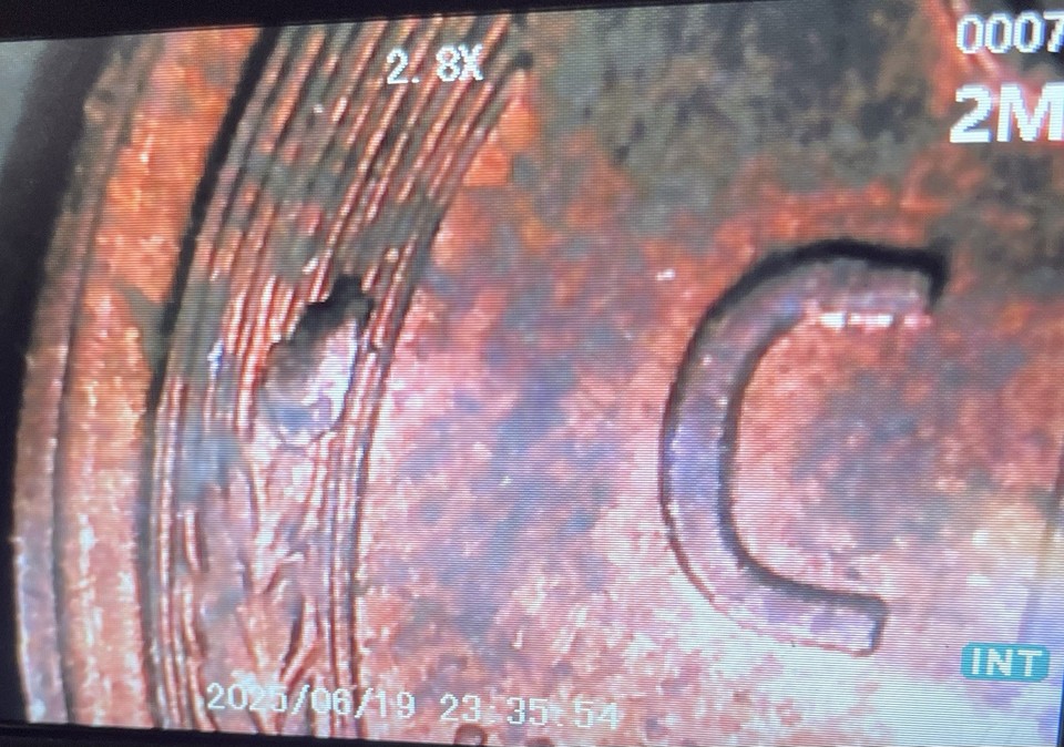 Ultra Rare • 1955 (Key Date) - Error - Die Chip Reverse - Wheat Penny ...
