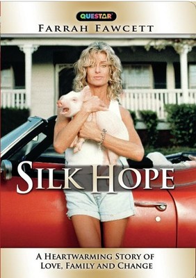 Silk Hope (DVD) Ashley Crow Herb Mitchell Scott Bryce Debra Mooney (US ...