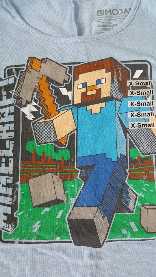 Girl's Mojang Minecraft Brand Steve Blue T-Shirt Size XS 4/5 | eBay