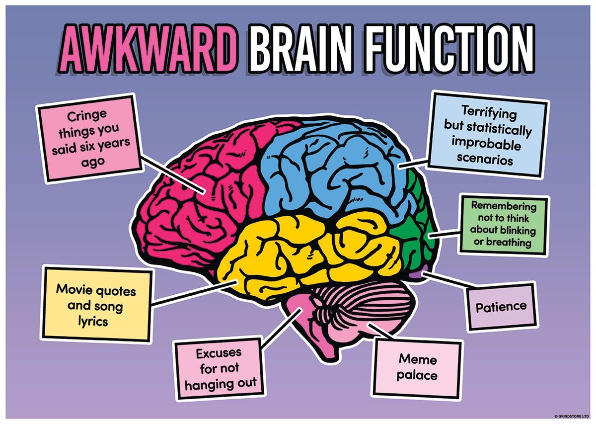 Memes Brain Activity
