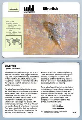 Silverfish #27.15 Arthropods - Grolier Wildlife Adventure Card | eBay UK