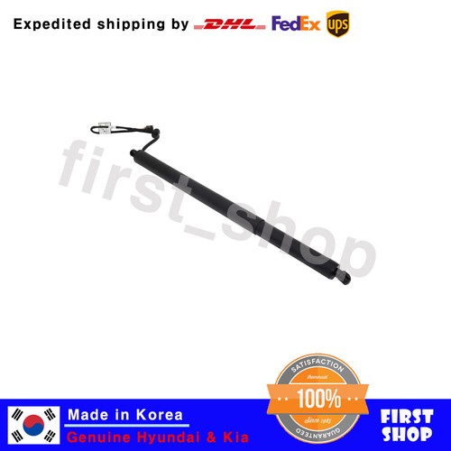 OEM Genuine Lifter Power Tailgate LH 81770D3100 For Hyundai Tucson 2015 ...