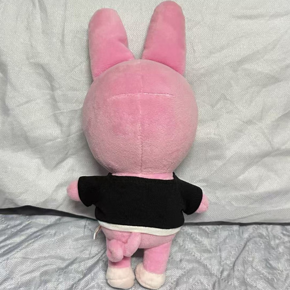Stray Kids SKZOO DWAEKKI Plush Doll Stuffed Official Original Ver 20CM ...