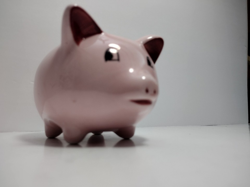 Little Pink Piggy Bank Nothing Special But Those Eyes 👀 & Missouri On ...