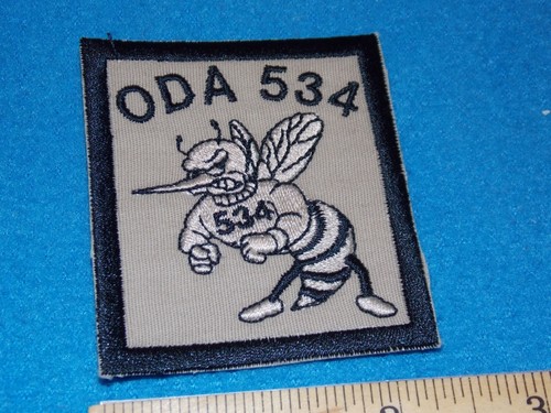 UNITED STATES US SPECIAL FORCES TEAM PATCH 534 ODA - MINT | eBay