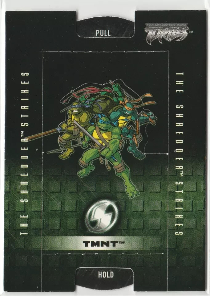 Teenage Mutant Ninja Turtles SP Stand-Ups TMNT The Shredder Strikes | eBay