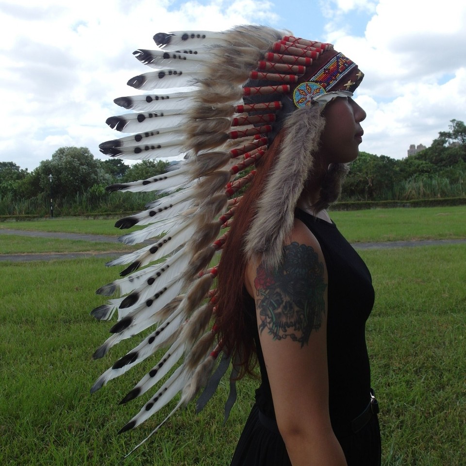 Feather Warbonnet American Indian Headdress Native Hat Carnival Hat ...