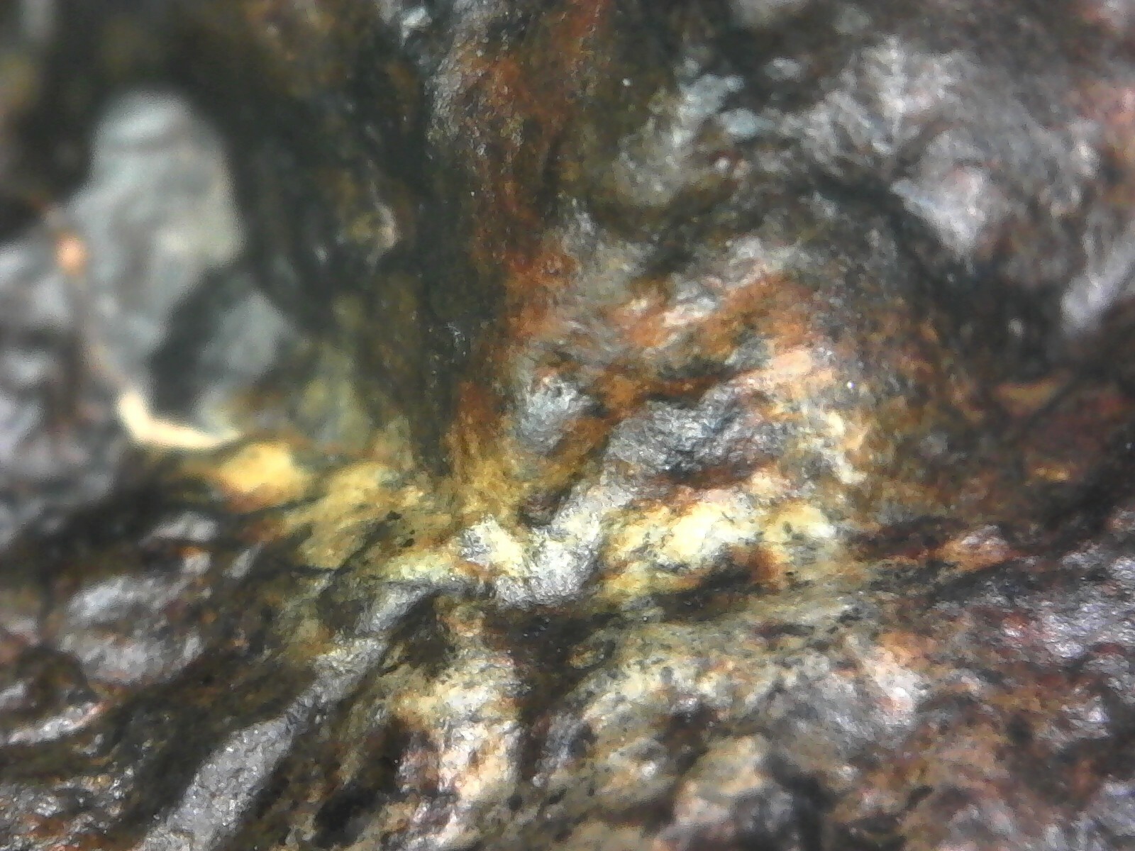 Meteorite Aubrite Achondrite Stony 37.20 Grams Rare | eBay