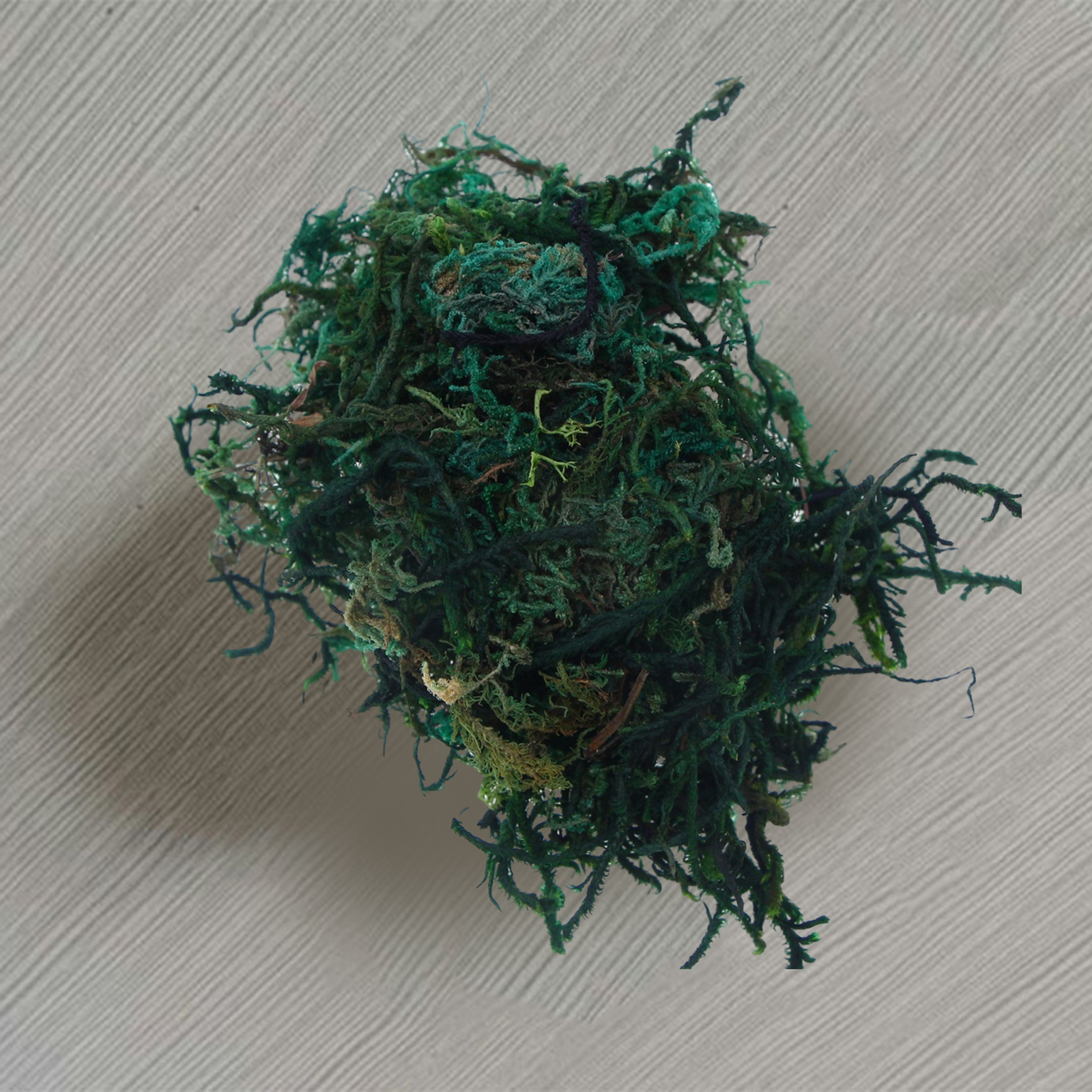 Moss for Decorations Moss Decor Nature-themed Parties Doll House Moss ...