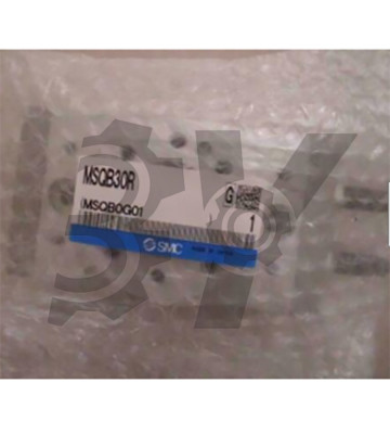 ONE SMC cylinder MSQB30R New | eBay