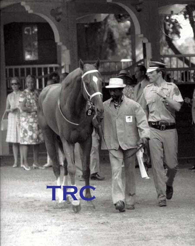 SECRETARIAT & EDDIE SWEAT -ORIGINAL 1973 8X10 BELMONT STAKES HORSE ...