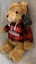 Atlanta Falcons Plush Bear 12” Plush Teddy In Hoodie NFL Football Good ...