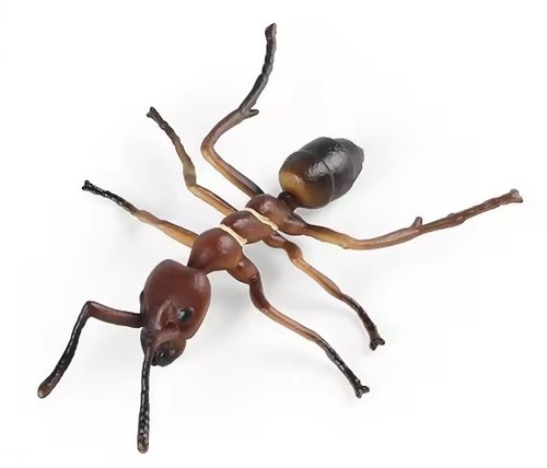 Ant Insect Toy Action Figure Small Animal Figurine Doll Gift for Kids ...