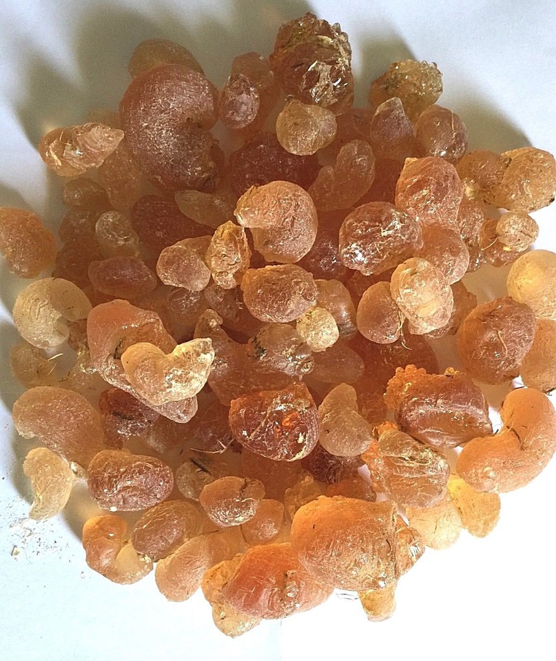 Gum Arabic Acacia Tree Gum resin Oman, Home incense, Acacia nilotica | eBay