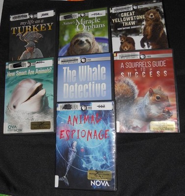 Bundle of Seven (7) Animal Subject PBS Presented DVDs - All X-Library ...